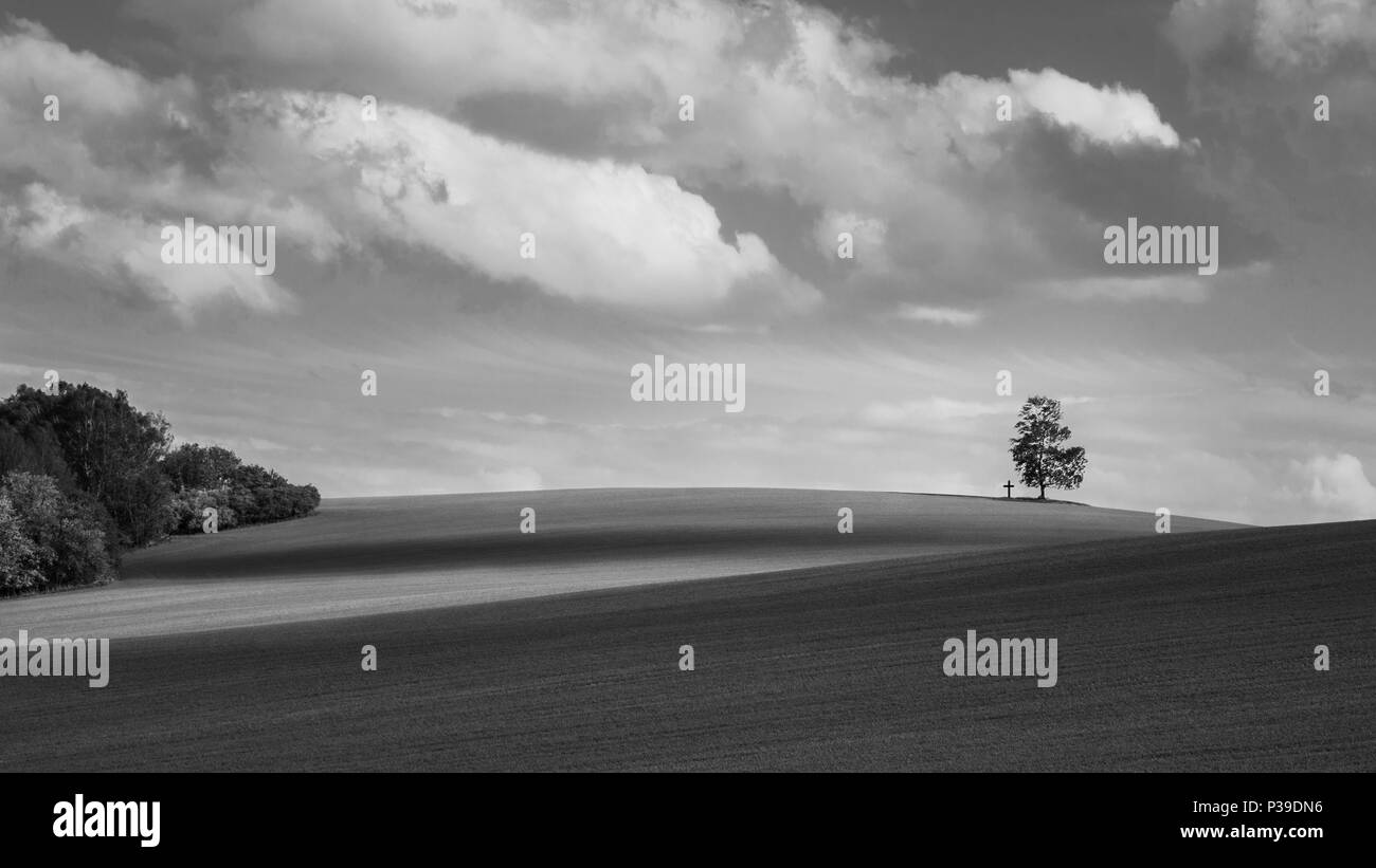 Beautiful background field wood Black and White Stock Photos & Images ...