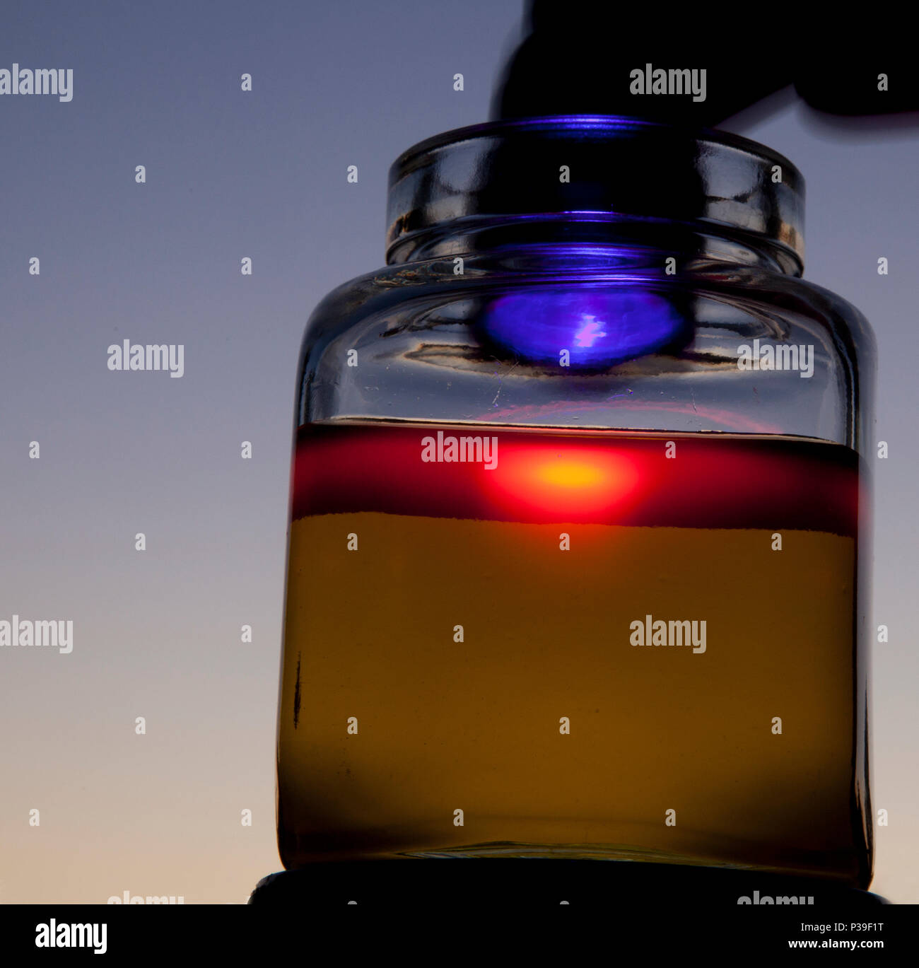 blacklight shines on extra vierge olive oil.The UV in the light ...