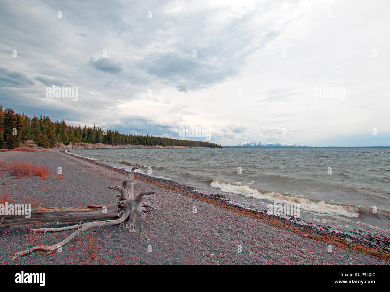 Pumice Point High Resolution Stock Photography and Images - Alamy