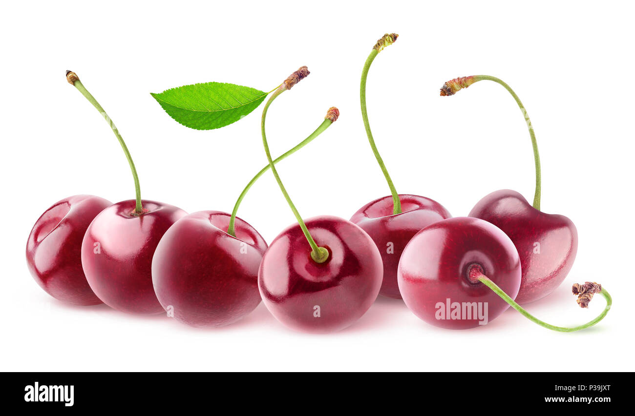 Isolated cherries. Seven sweet cherry fruits with long stems in a row ...