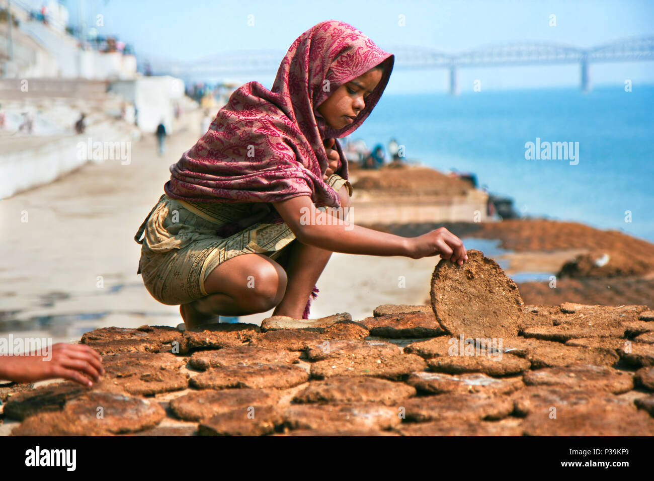 Girl with cow dung hi-res stock photography and images - Alamy