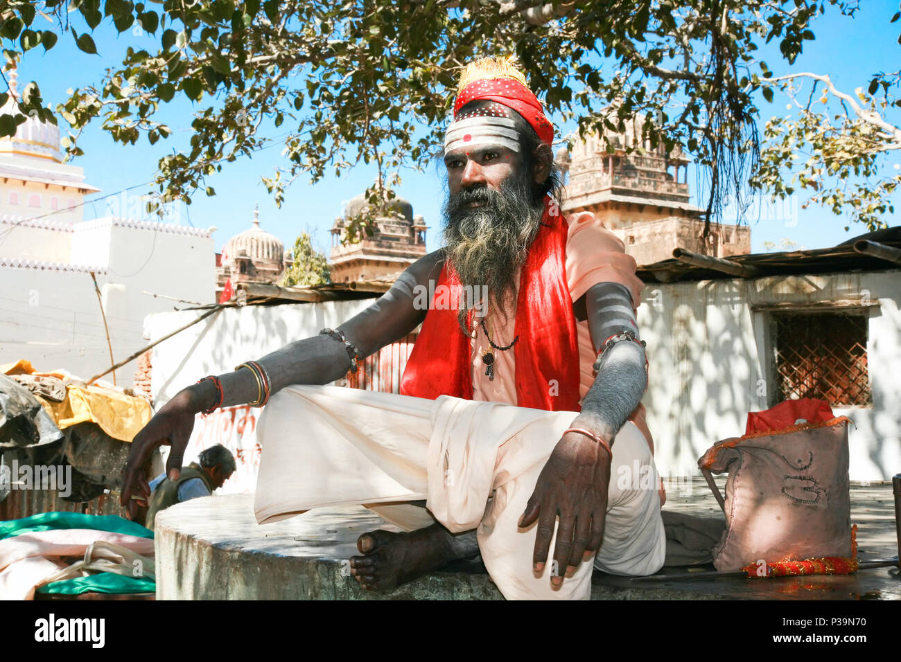 Indian ash tree hi-res stock photography and images - Alamy