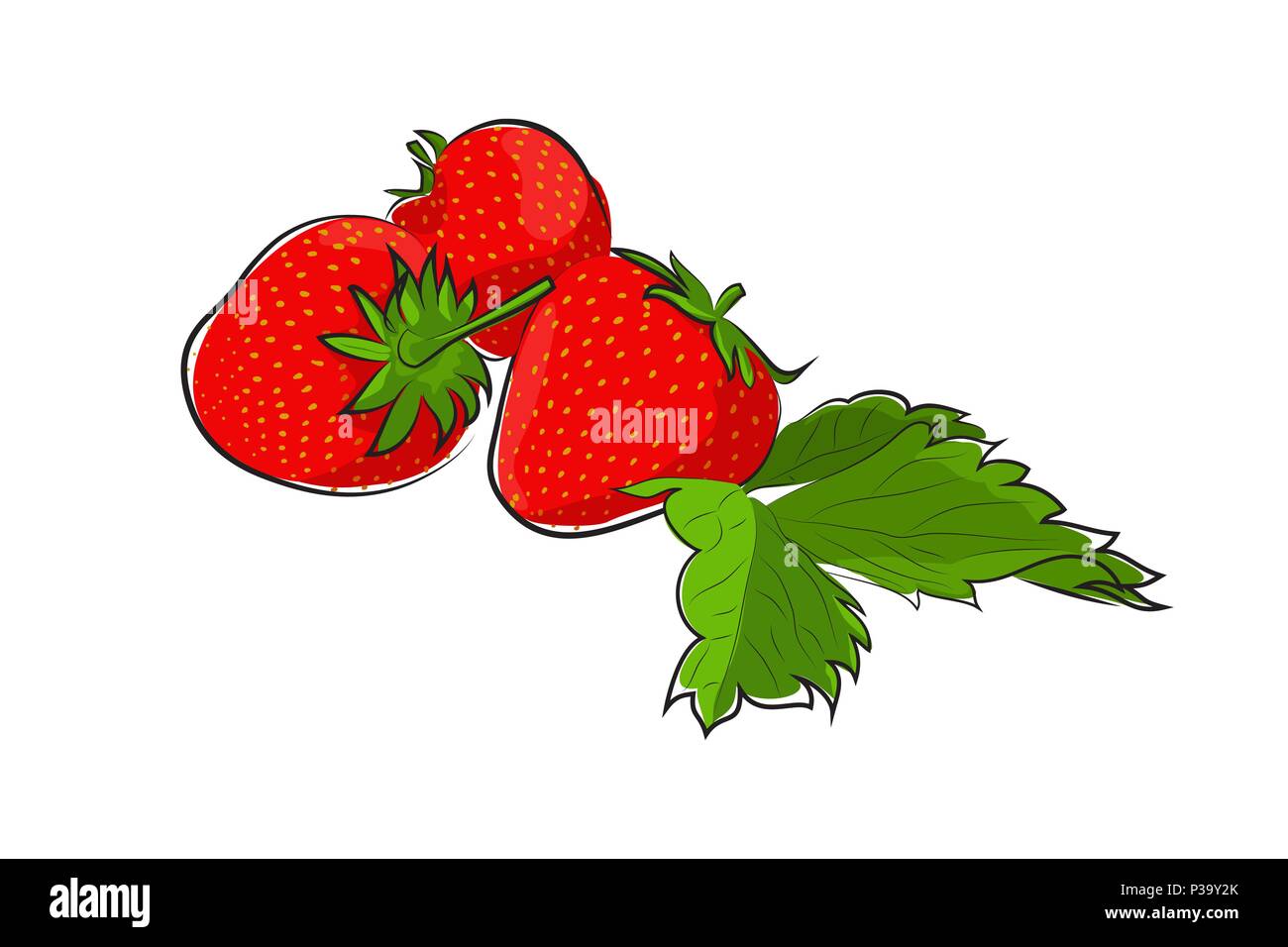 vector simple drawing of ripe red strawberry berries with leaves Stock ...