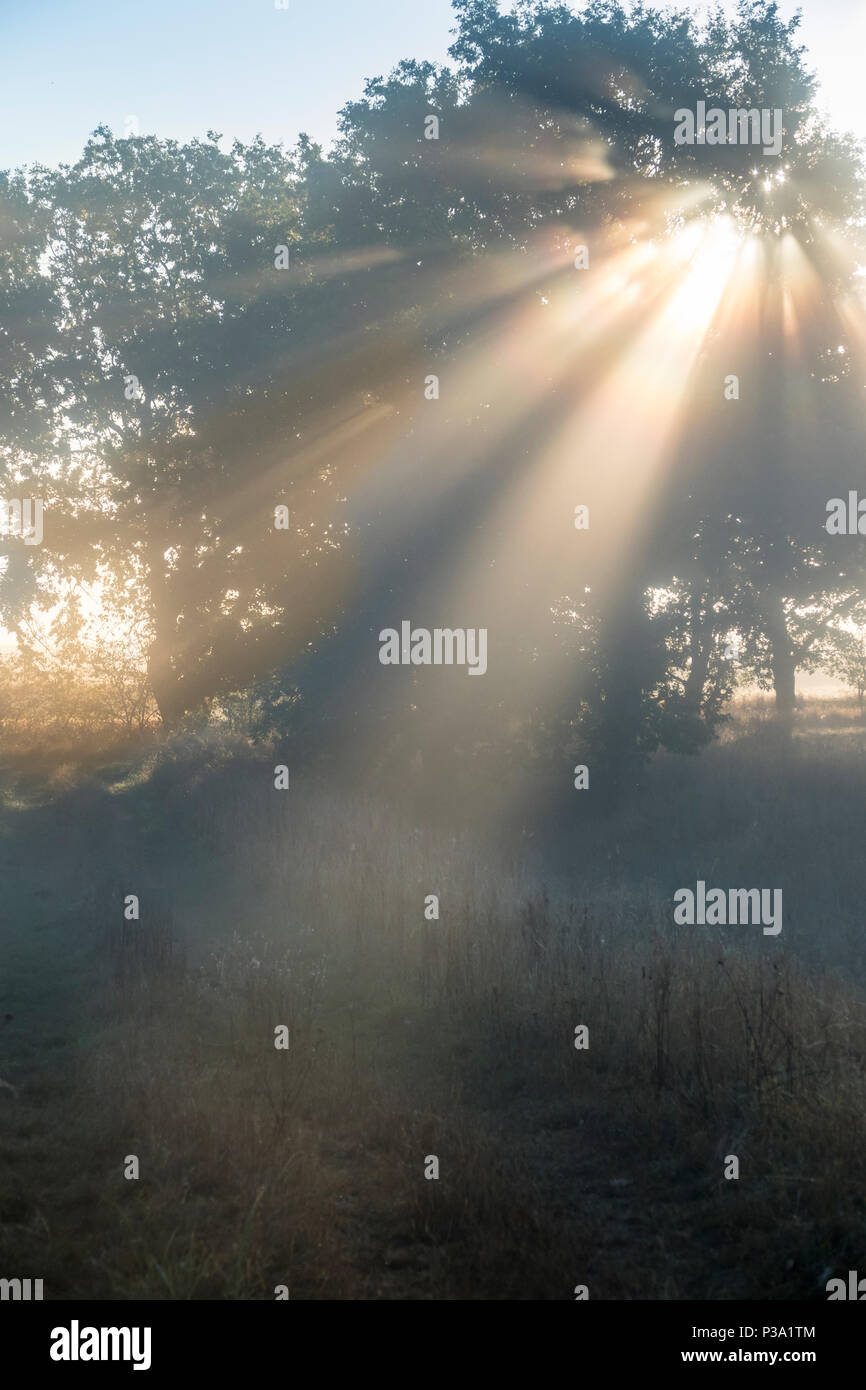 Hazy morning sun hi-res stock photography and images - Alamy