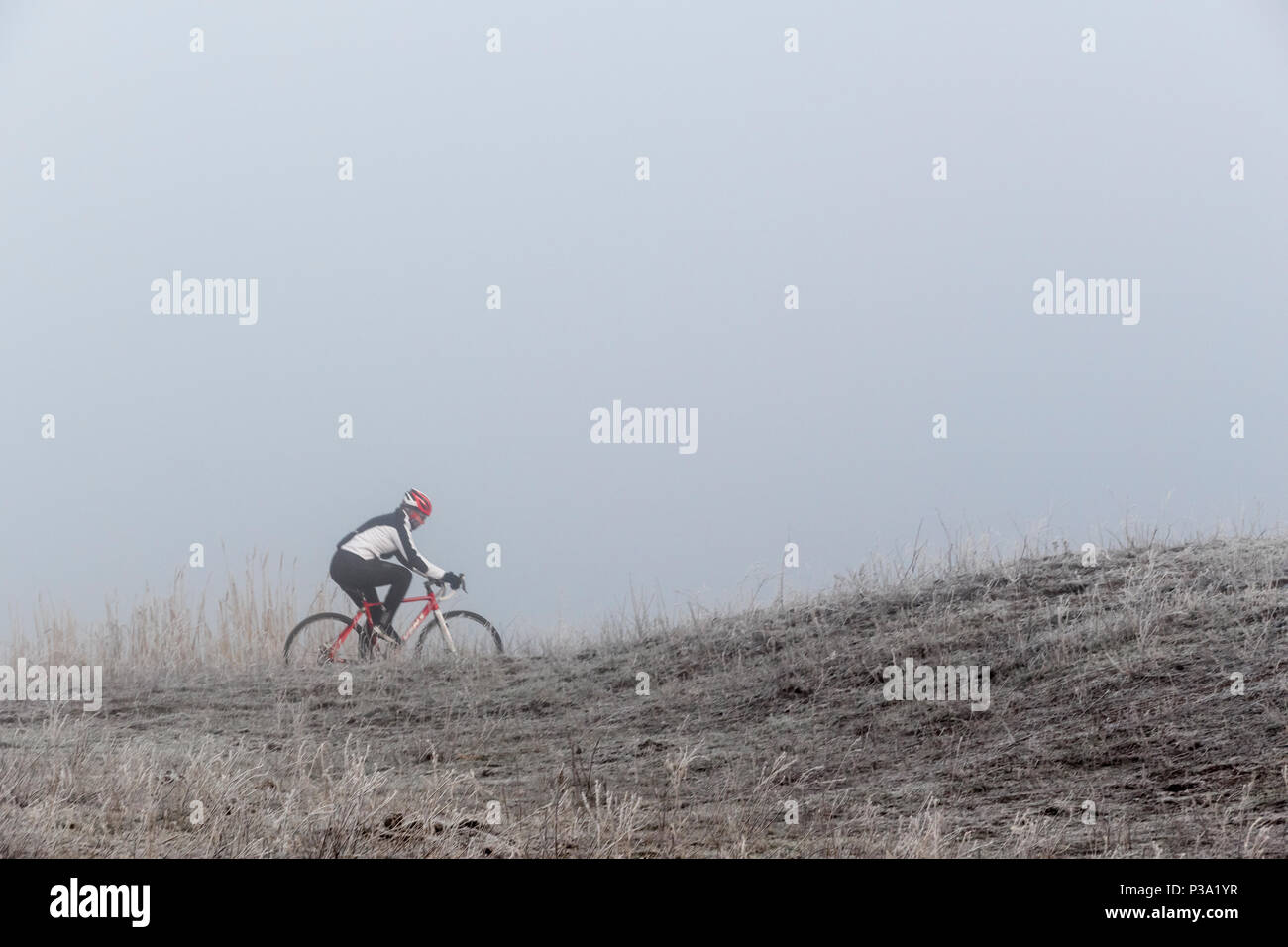 Bikers for germany hi-res stock photography and images - Alamy