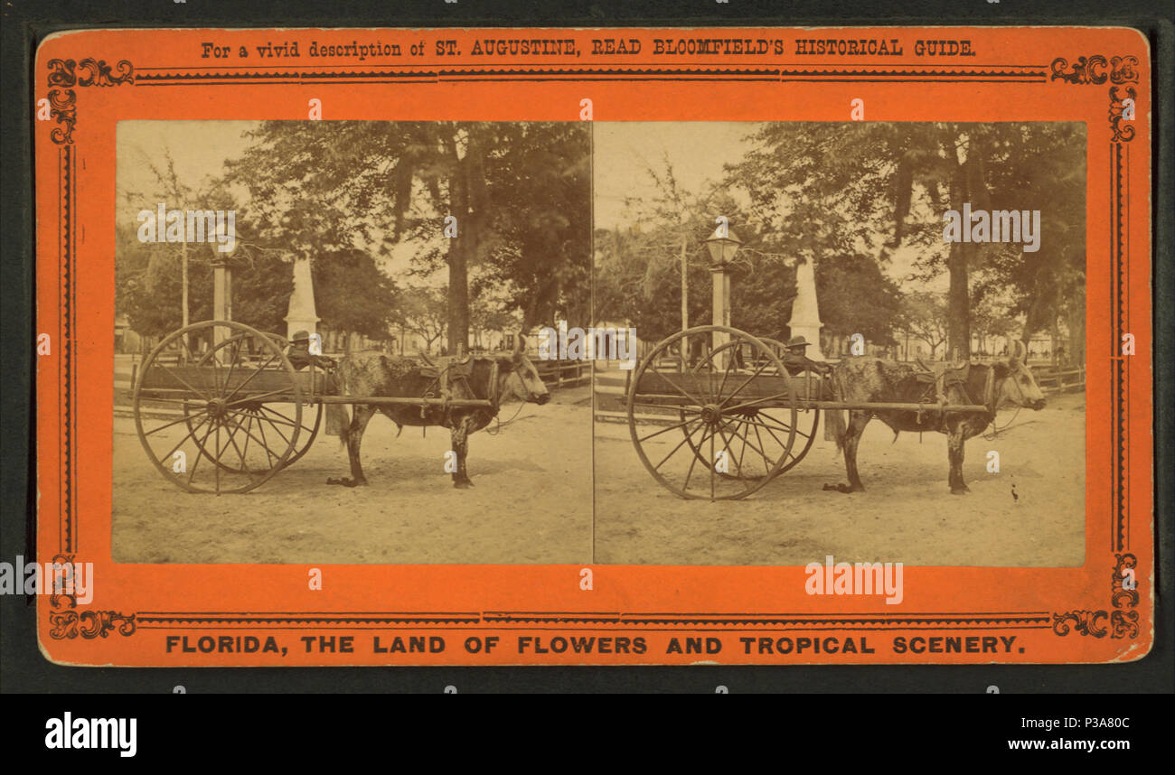 Lightning Express High Resolution Stock Photography and Images - Alamy