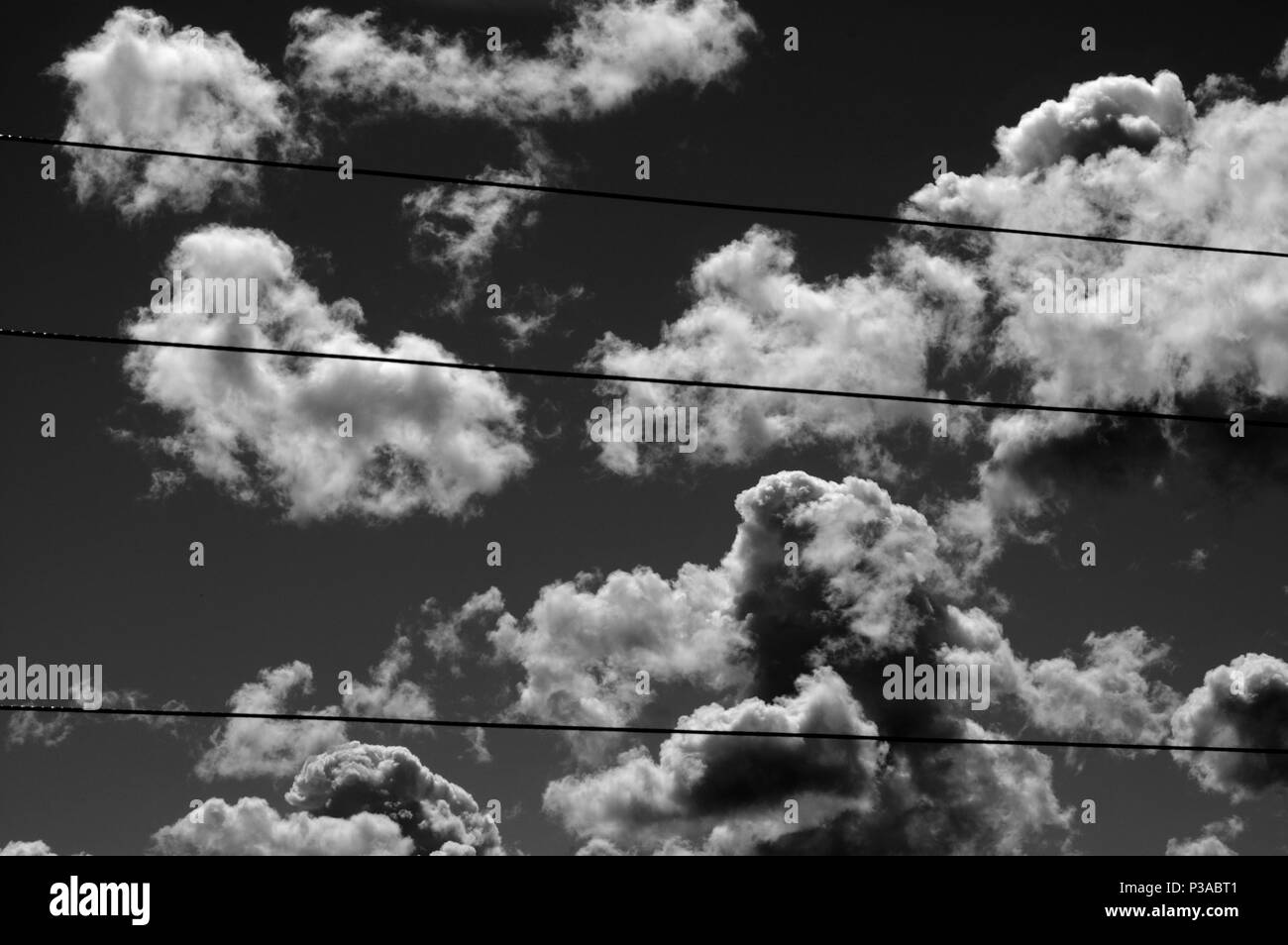 Classic diagonal lines pattern Black and White Stock Photos & Images ...