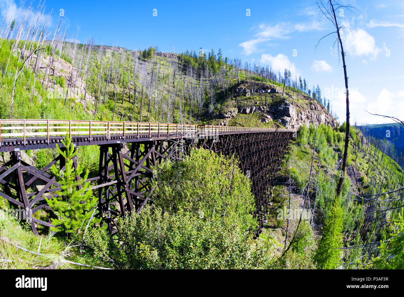 Originally one of 19 wooden railway trestle bridges built in the early ...