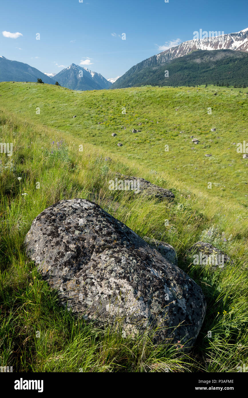 Boulder on the Wallowa Lake moraine in Northeast Oregon Stock Photo - Alamy