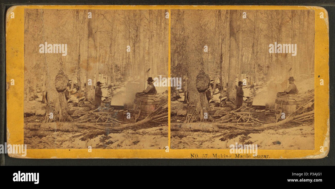 182 Making maple sugar, by Kilburn Brothers 2 Stock Photo - Alamy