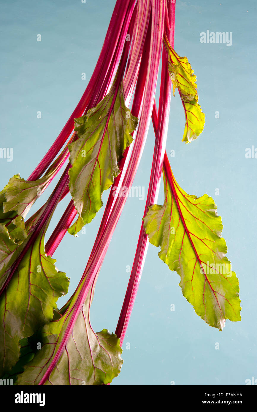 Blood clotting properties hi-res stock photography and images - Alamy