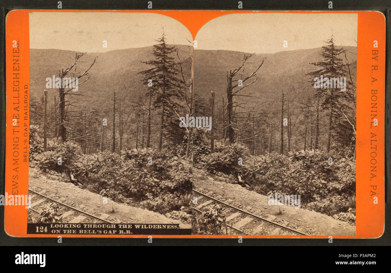 175 Looking through the wilderness, on the Bell’s Gap R. R, by R. A ...