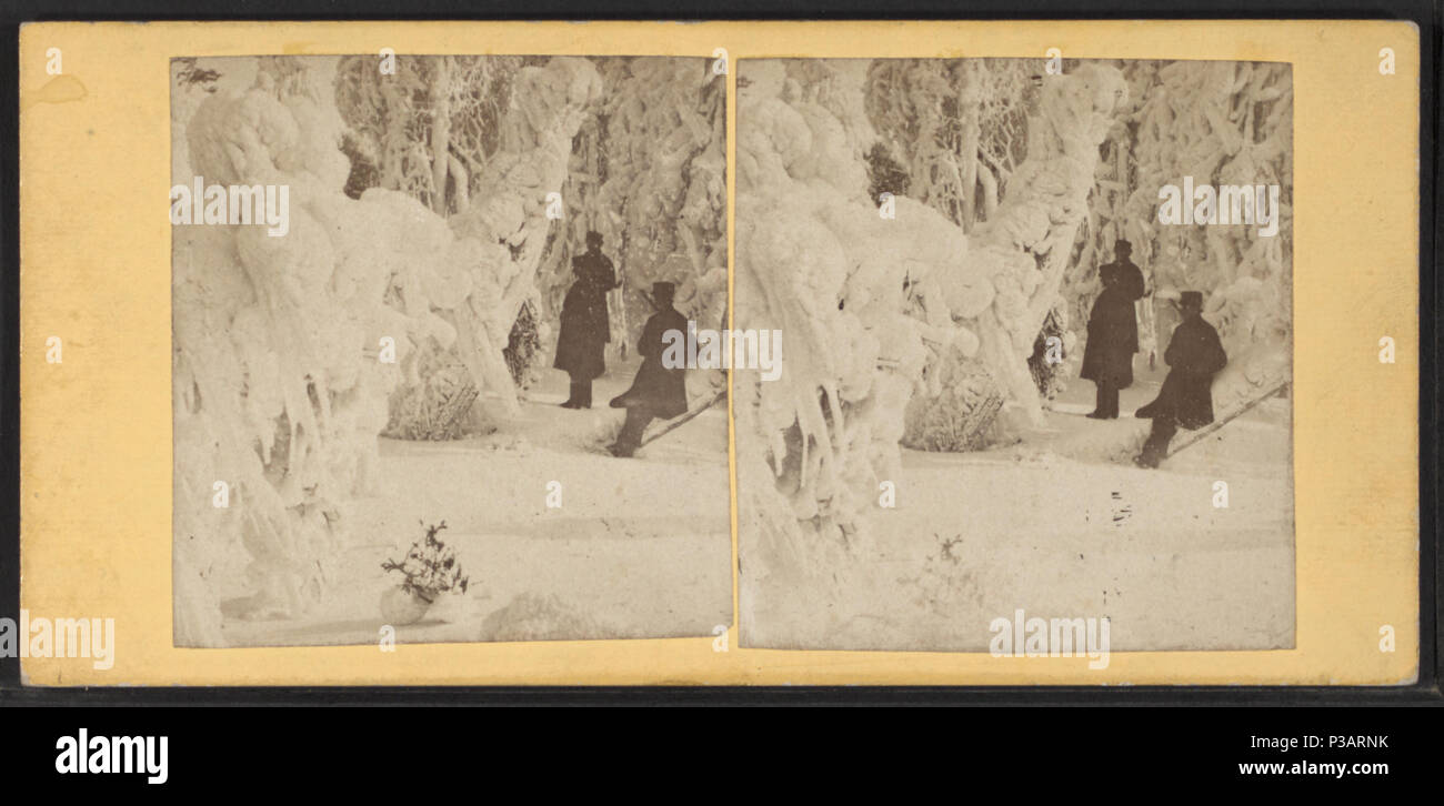 178 Luna Island scenery. (Winter view, a group standing among ice ...