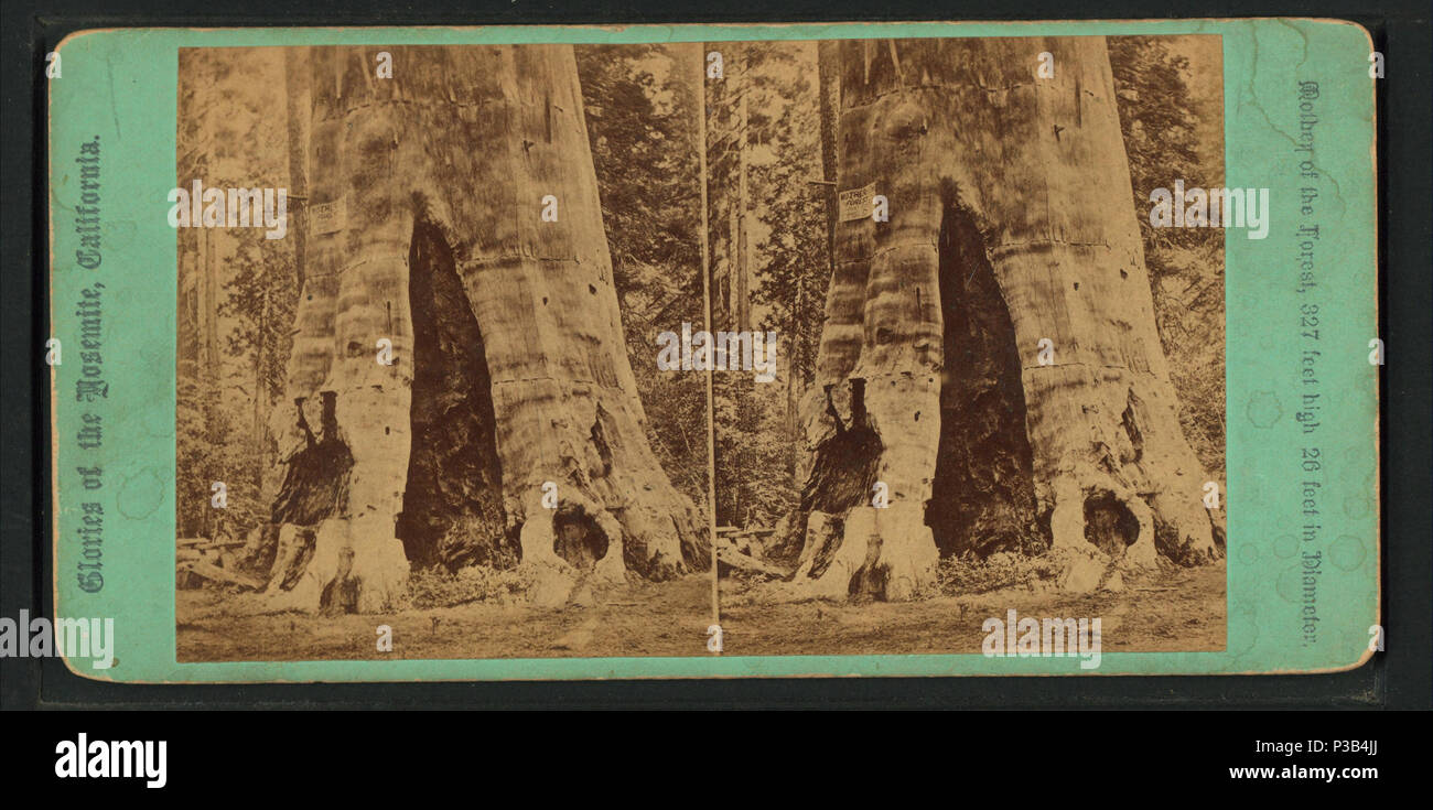 196 feet hi-res stock photography and images - Alamy