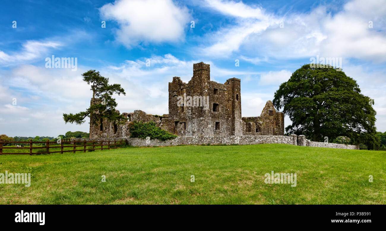 Old castle in farm field of Ireland Stock Photo - Alamy