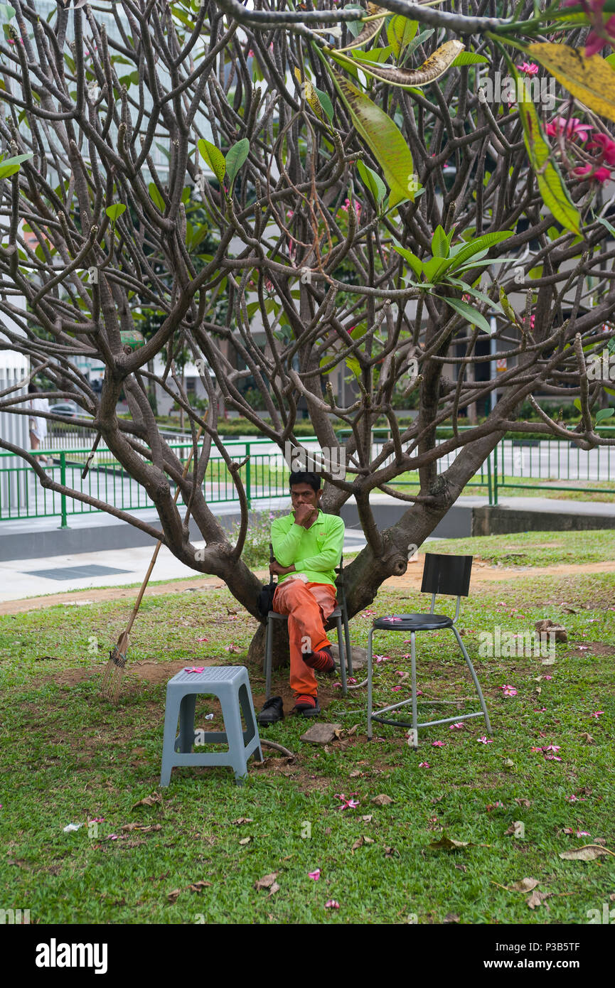 Worker planting tree hi-res stock photography and images - Alamy