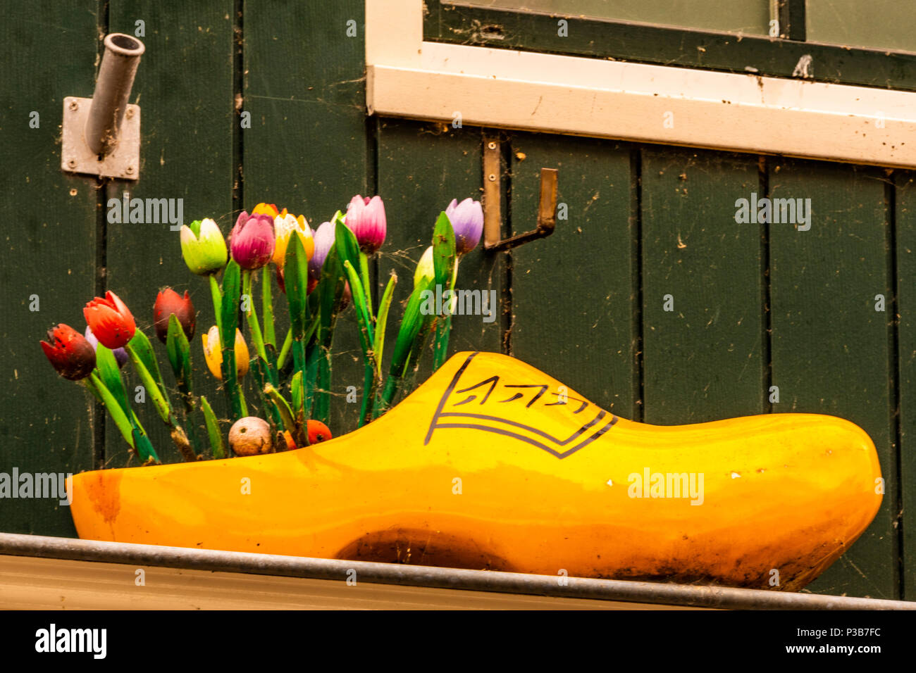 a symbol of holland arrangement of swedish shoe and tulips. volendam ...