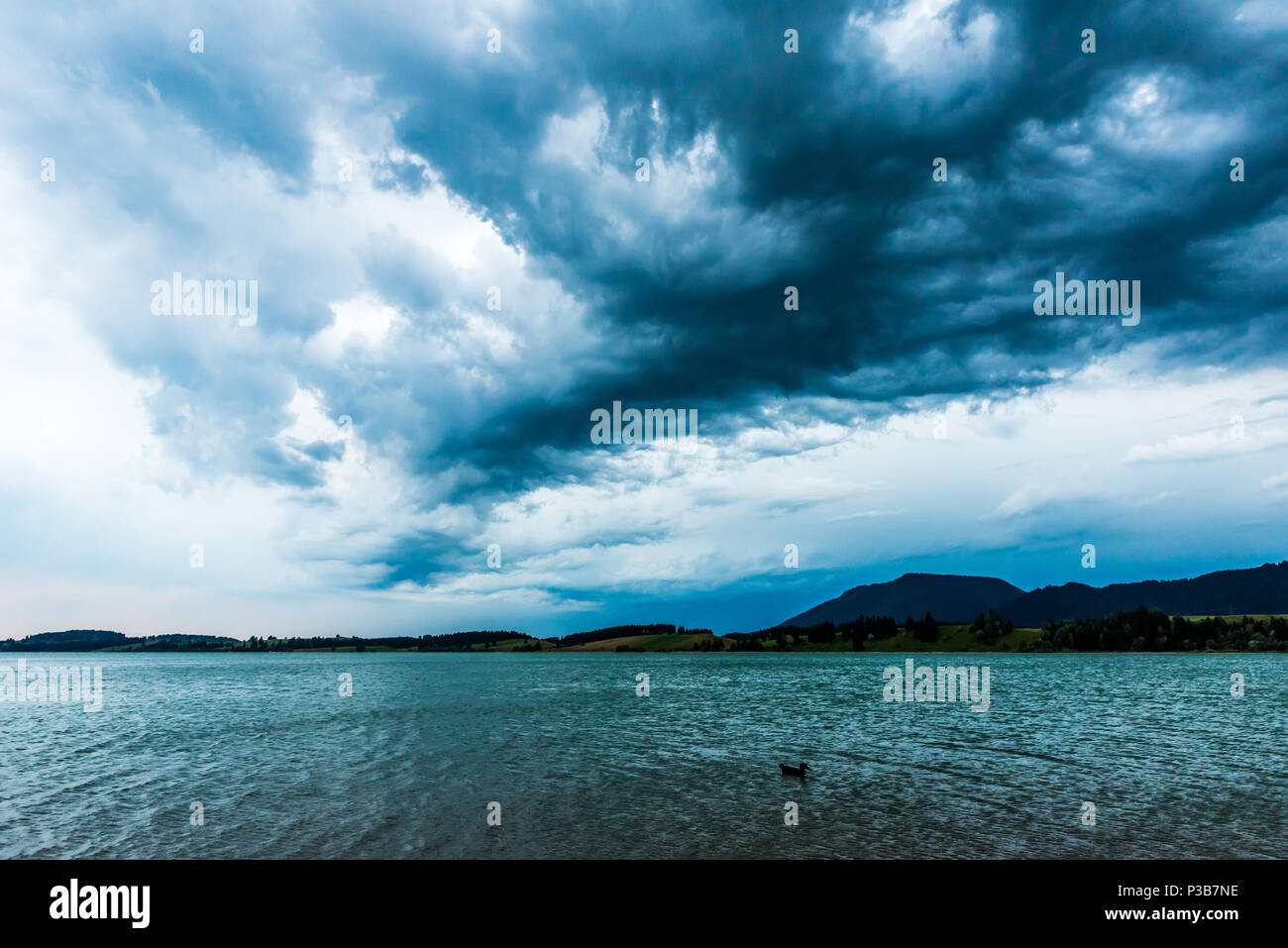 Mountain landscape at forggensee with neuschwanstein castle hi-res ...