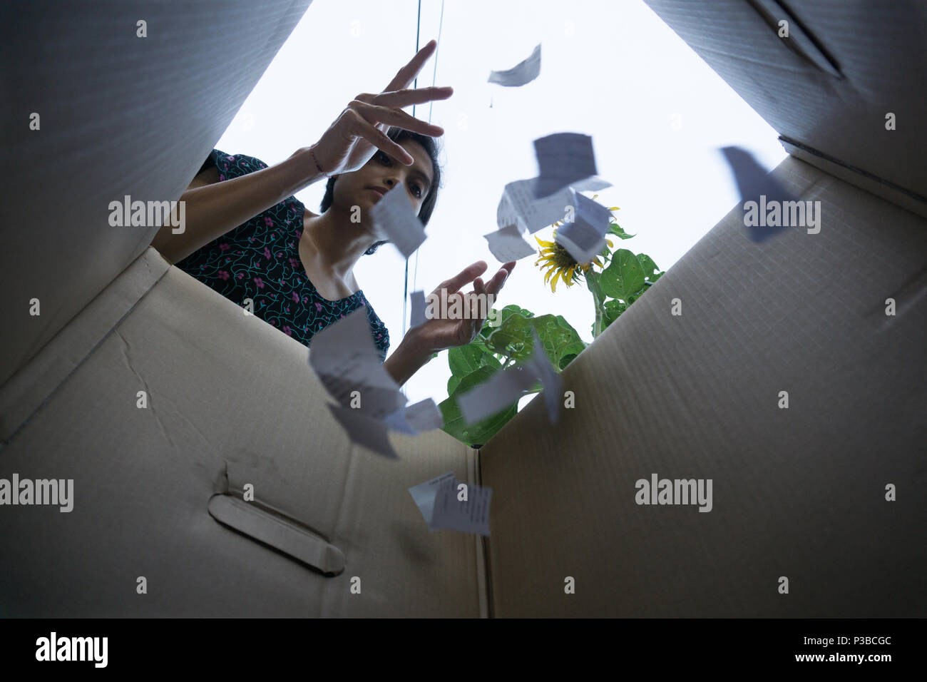 throw to garbage Stock Photo - Alamy