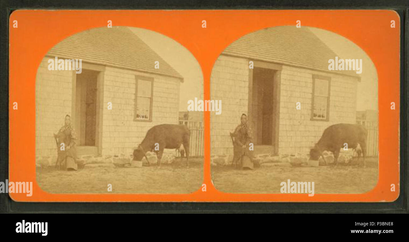 Nancy luce hi-res stock photography and images - Alamy