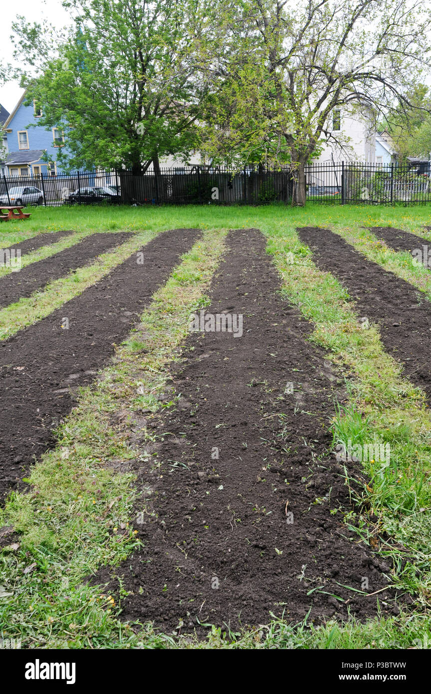 Fresh planting rows Stock Photo - Alamy