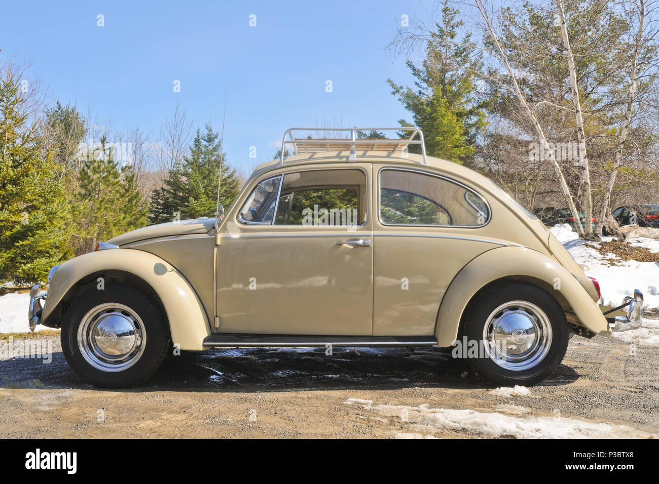 Restored Volkswagen beetle Stock Photo - Alamy