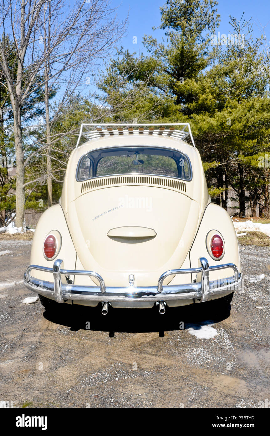 Restored Volkswagen beetle Stock Photo - Alamy