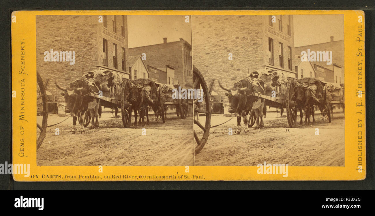 Red river ox carts hi-res stock photography and images - Alamy