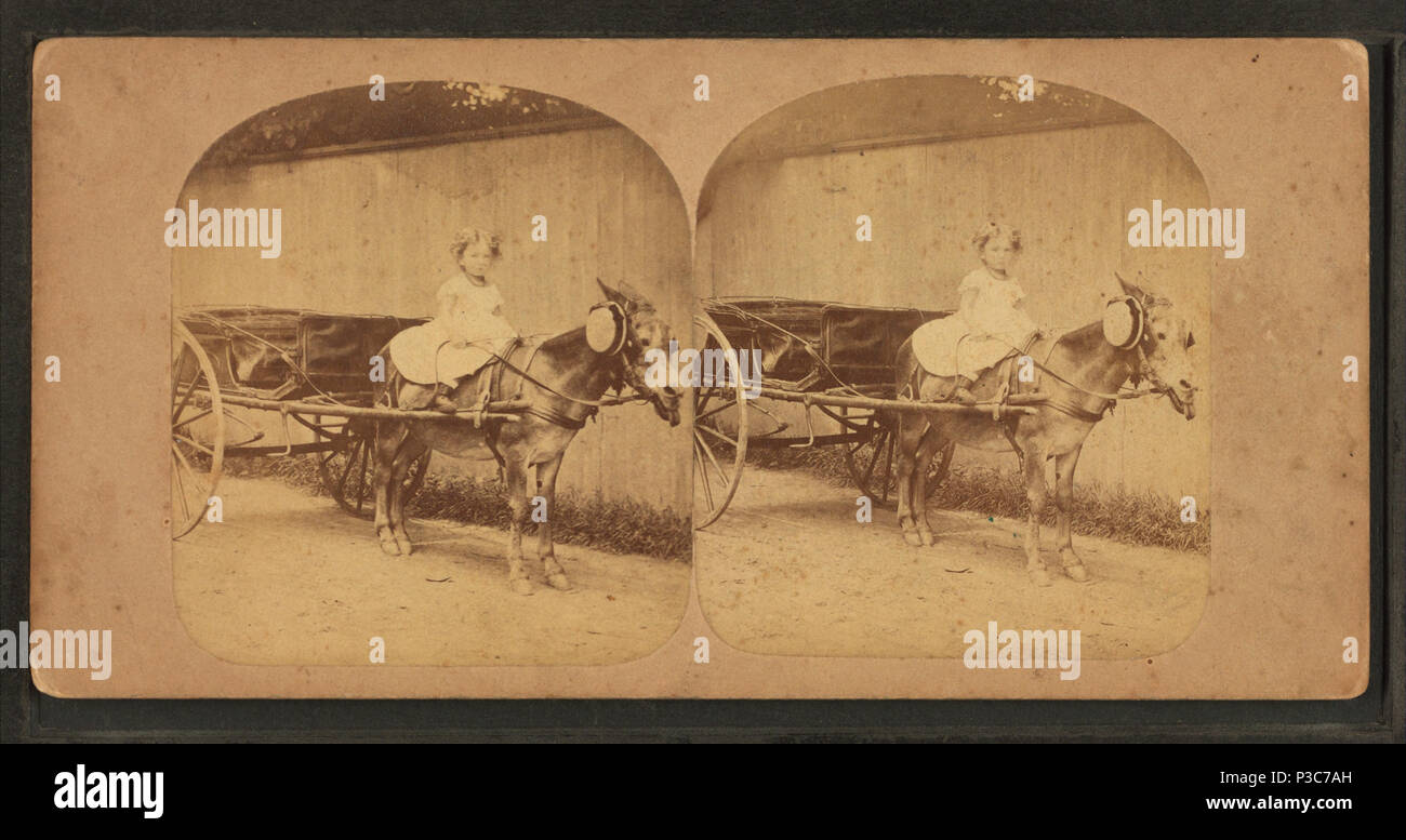 Joshua appleby hi-res stock photography and images - Alamy