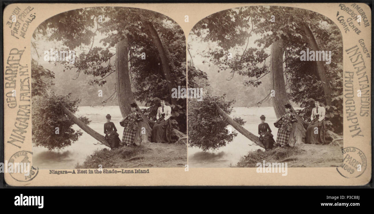 213 Niagara, a rest in the shade, Luna Island, by Barker, George, 1844 ...