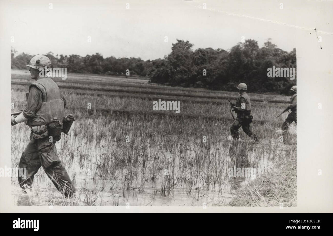 1.5 Marines cross rice paddy to flush out a Viet Cong sniper Stock ...