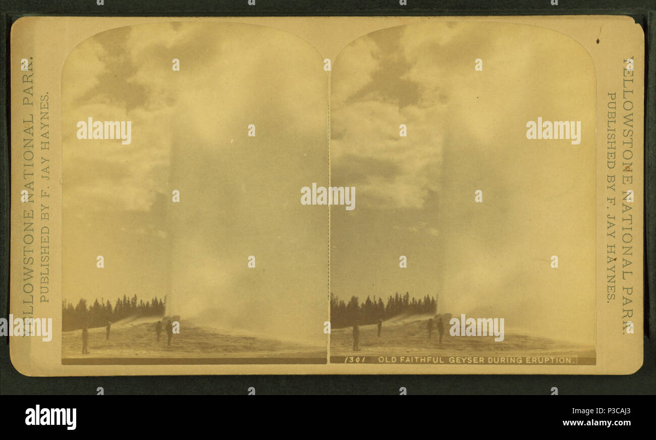 219 Old Faithful Geyser during Eruption, Yellowstone National Park, by ...