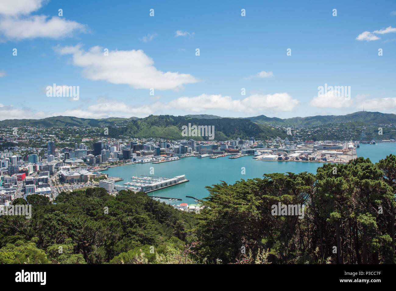 Wellington, North Island, New Zealand-December 14,2016: High angle view ...