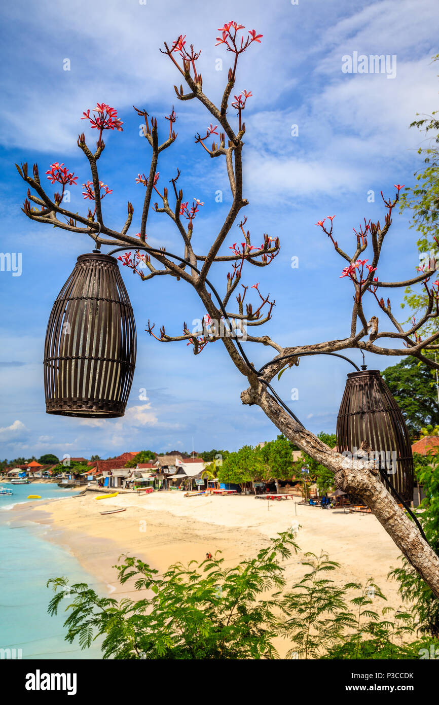 Lanterns on a blooming tree near the beach, Nusa Lembongan, Indonesia ...