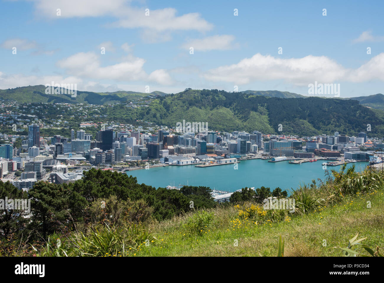 Wellington, North Island, New Zealand-December 14,2016: Harbour view ...