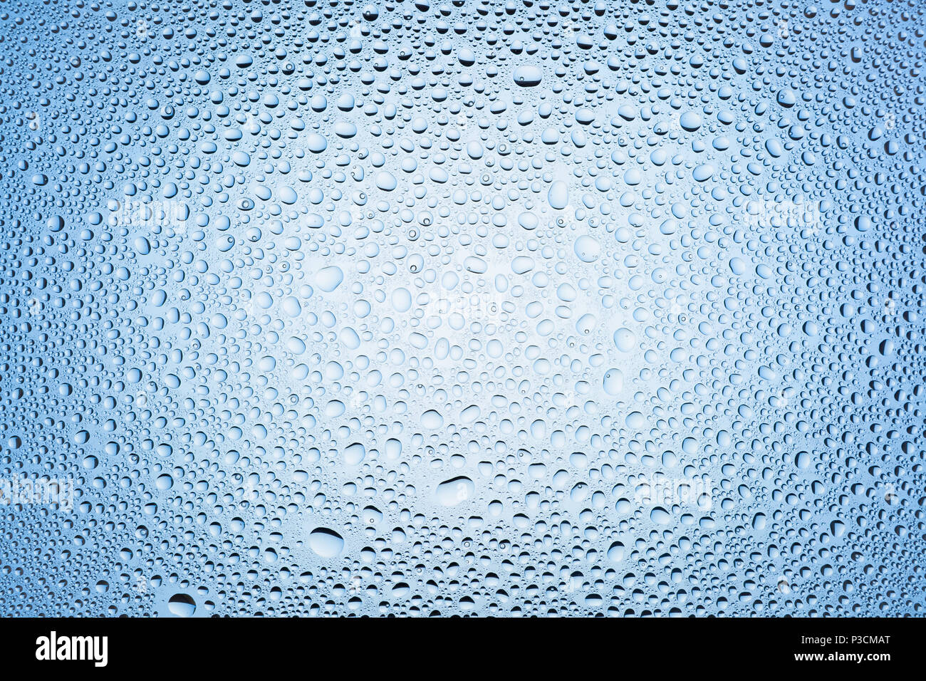 Close up of a water drops on a white and blue gradient background ...