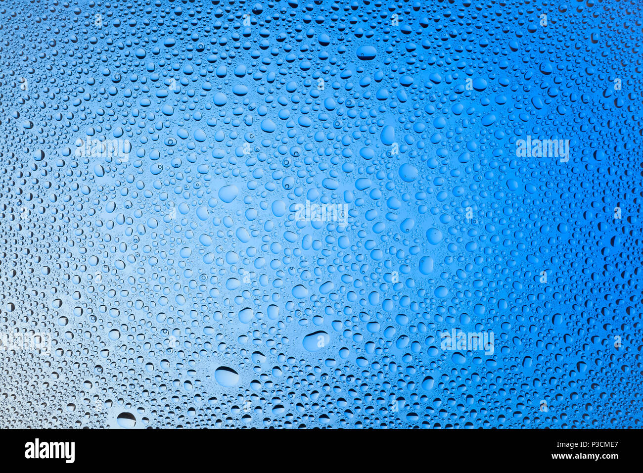Close up of a water drops on a white and blue gradient background ...