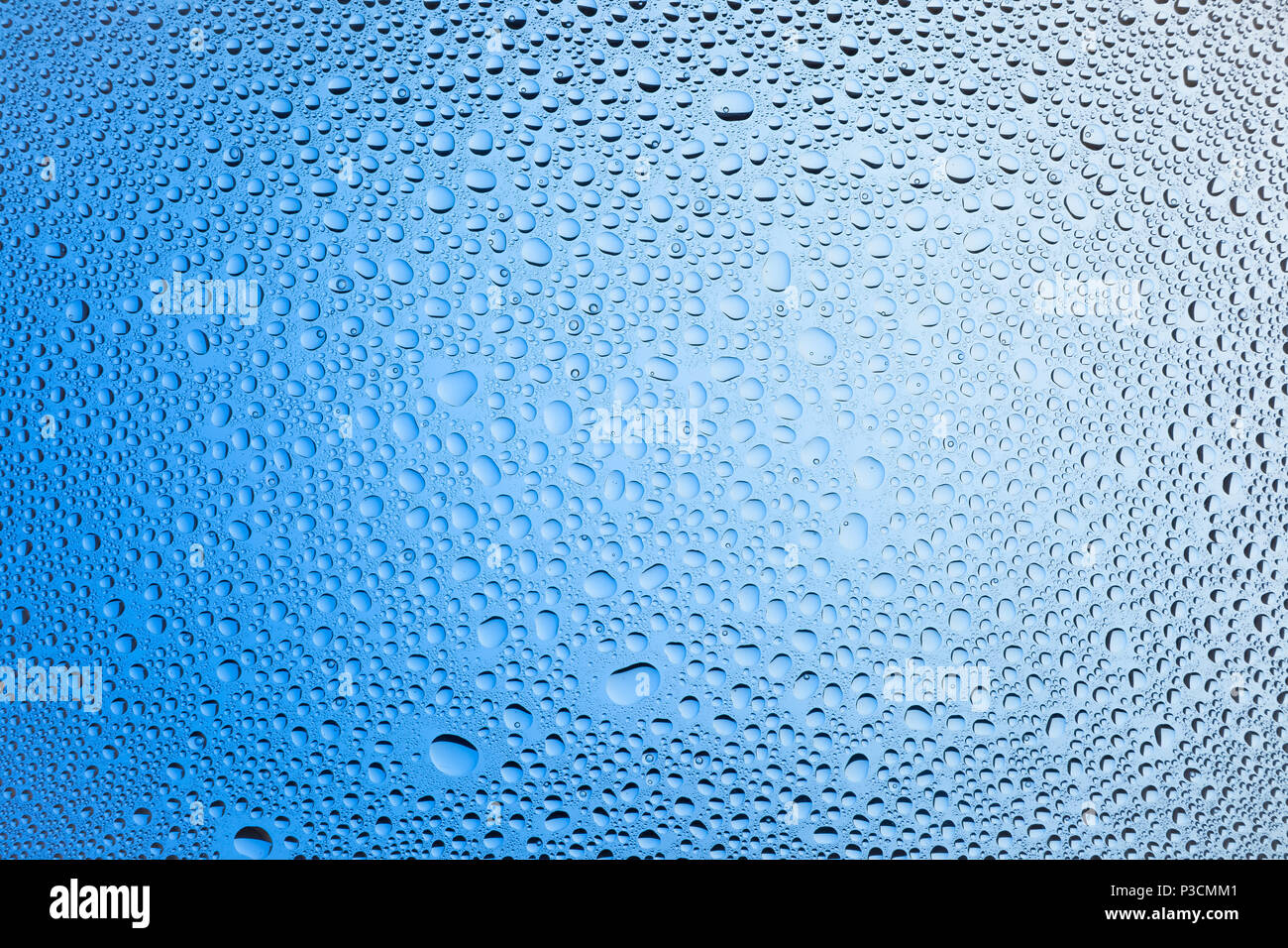 Close up of a water drops on a white and blue gradient background ...