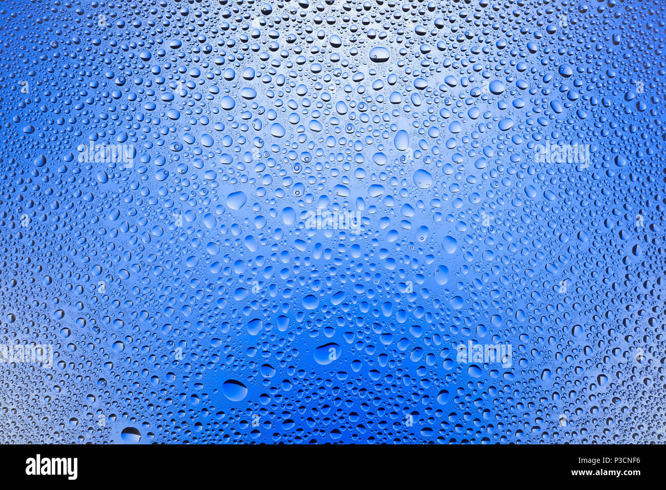 Close up of a water drops on a white and blue gradient background ...