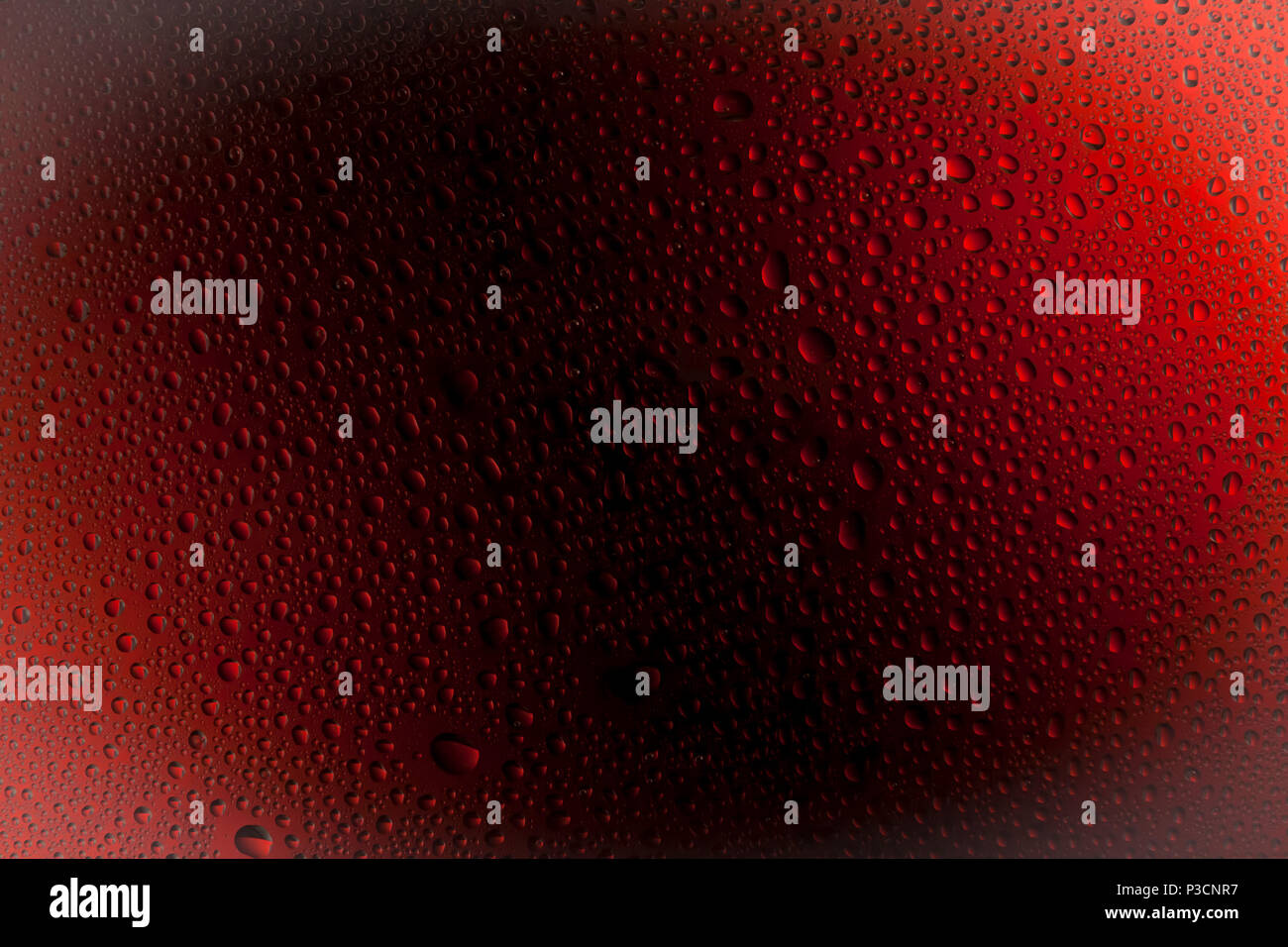 Close up of a water drops on a black and red gradient background ...