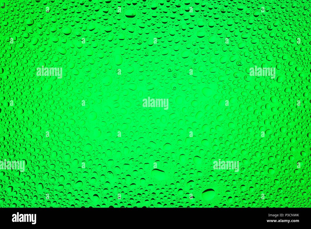Close up of a water drops on a green gradient background, covered with ...