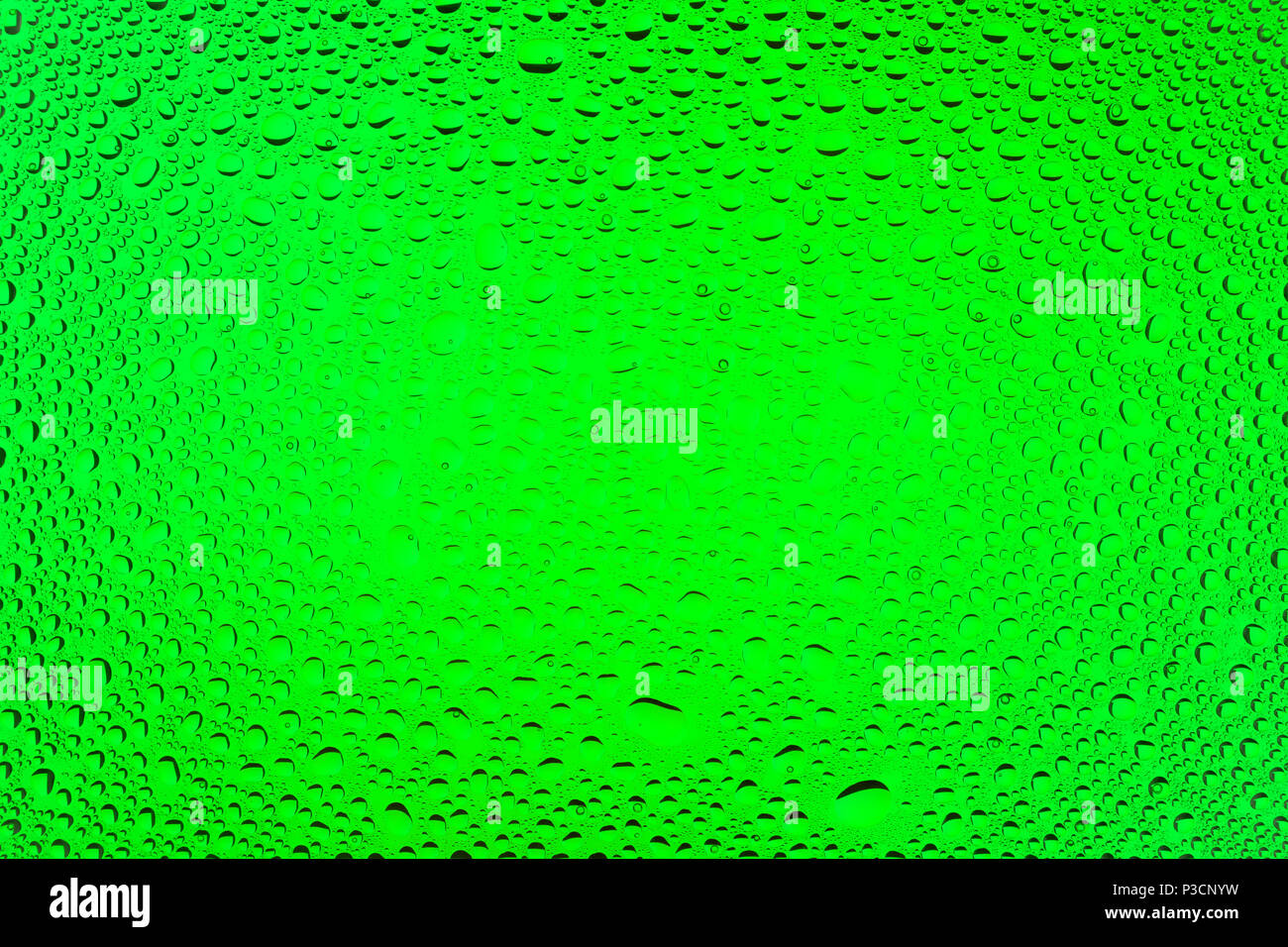 Close up of a water drops on a green gradient background, covered with ...
