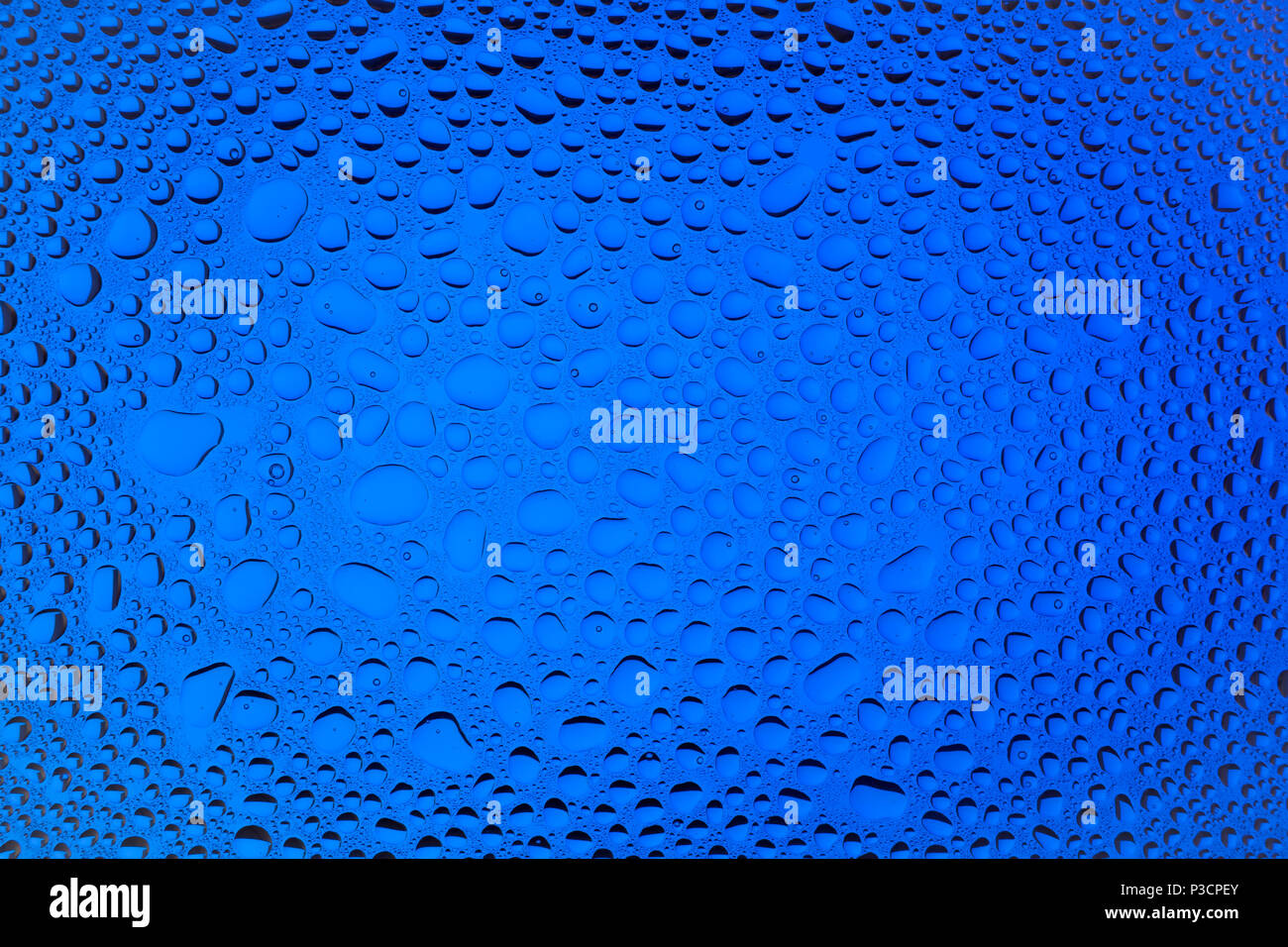Close up of a water drops on a blue gradient background, covered with ...