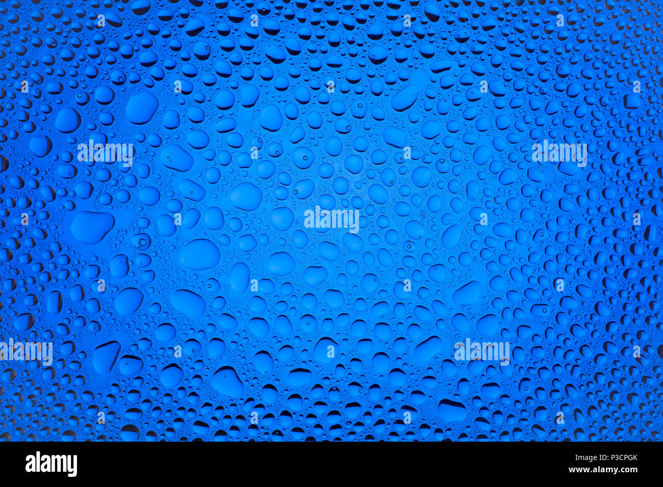 Close up of a water drops on a blue gradient background, covered with ...