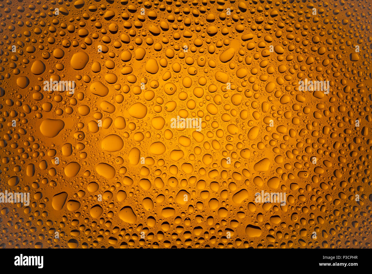 Close up of a water drops on a orange gradient background, covered with ...