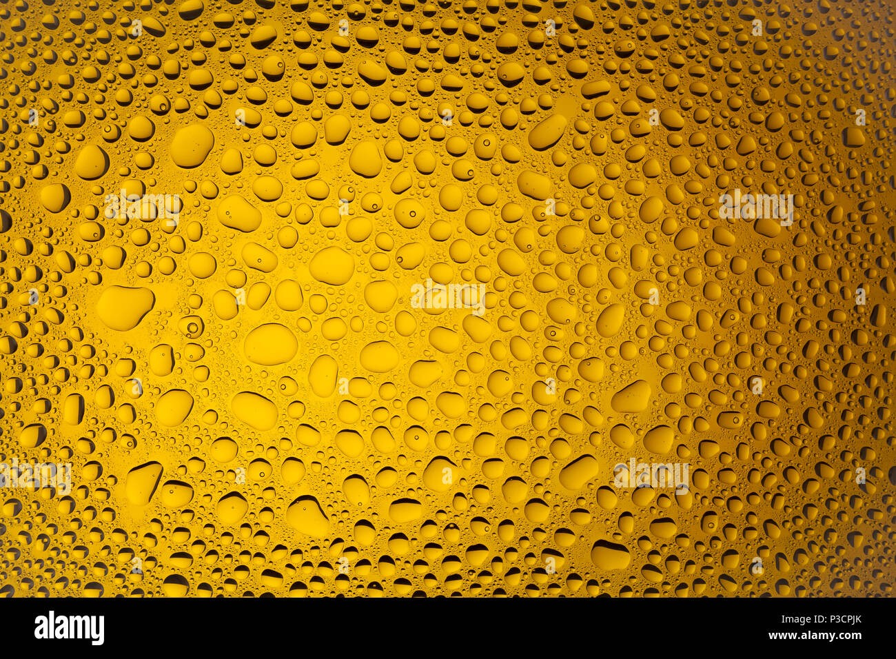 Close up of a water drops on a orange gradient background, covered with ...