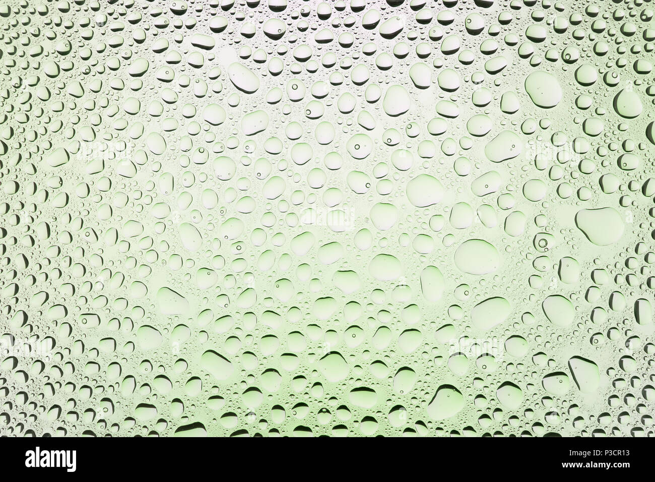 Close up of a water drops on a green gradient background, covered with ...