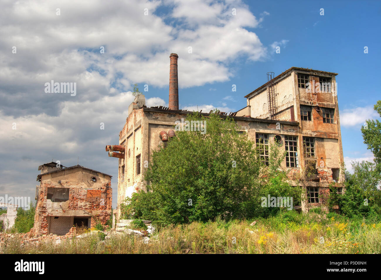 Abandoned and dilapidated factory overgrown of vegetation Stock Photo ...