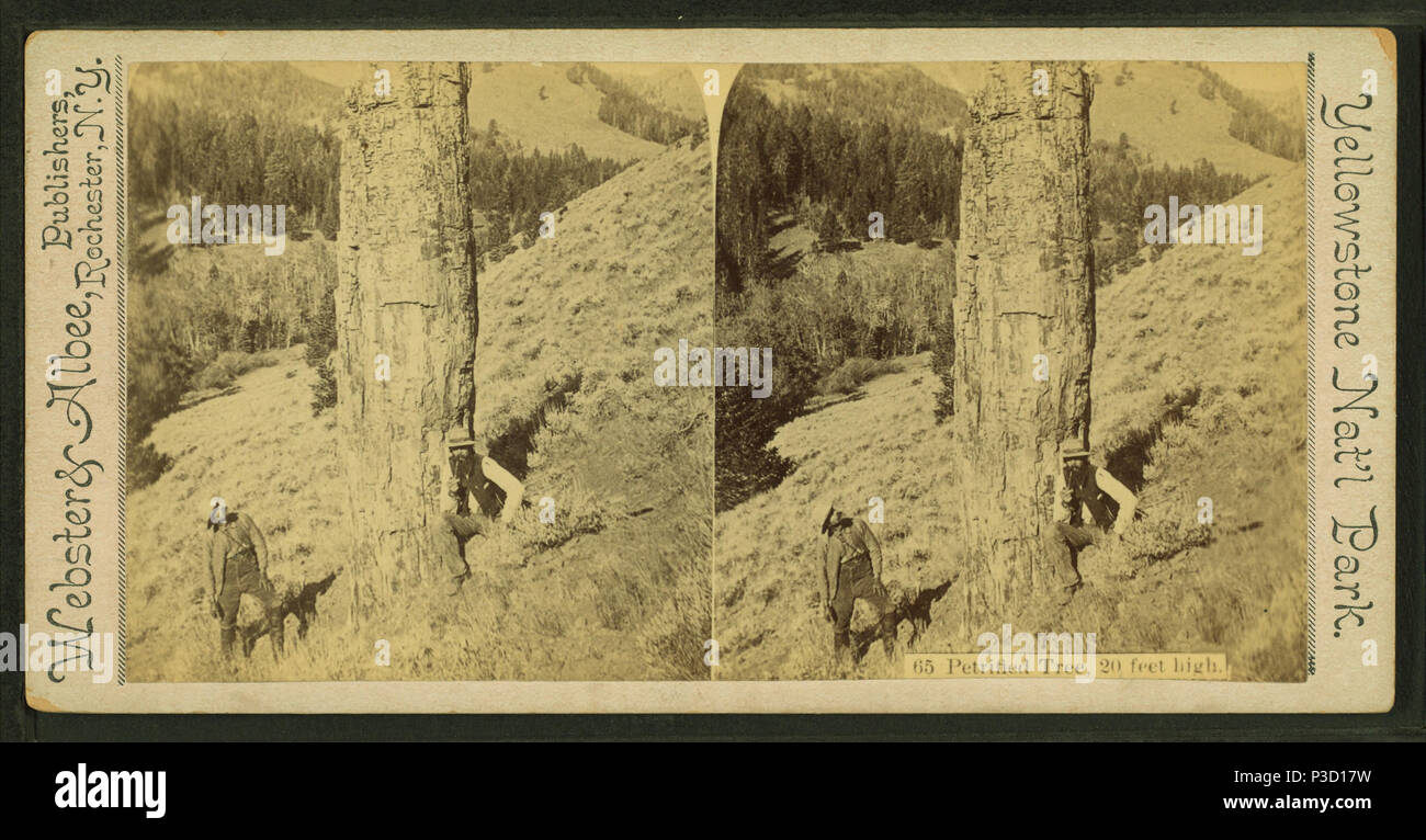 235 feet hi-res stock photography and images - Alamy