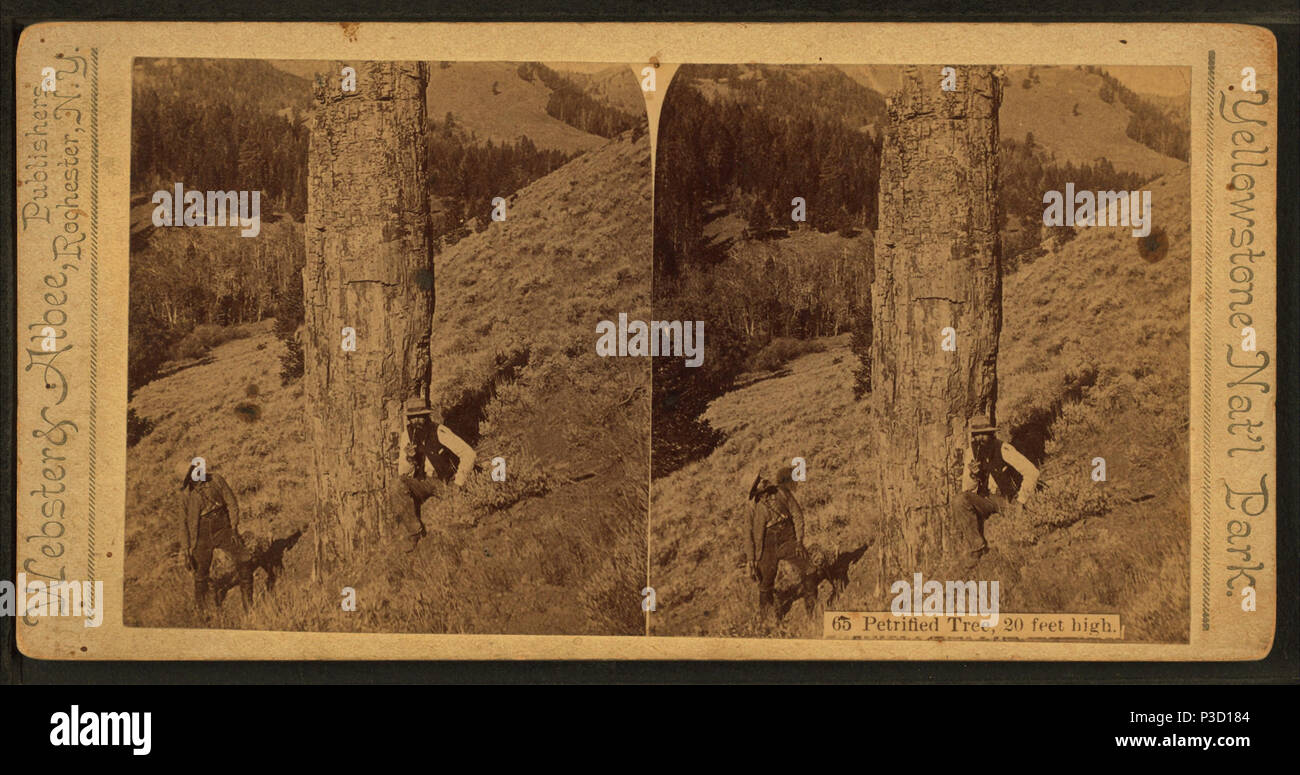 235 feet hi-res stock photography and images - Alamy